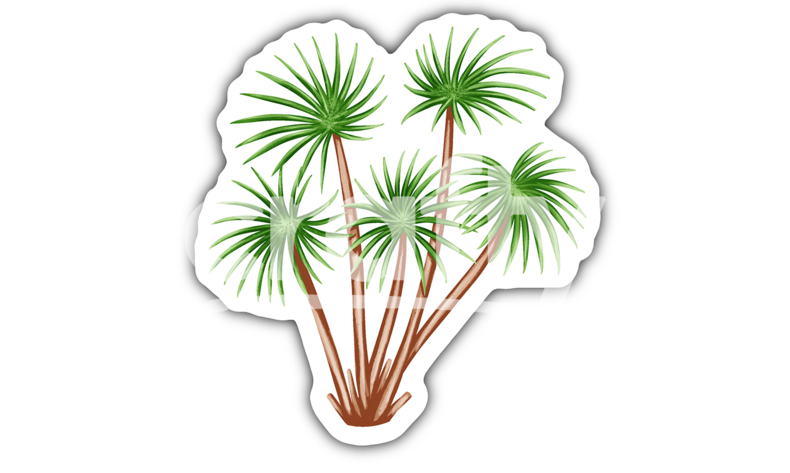 Palm tree sticker design | Palm tree png | Crafty