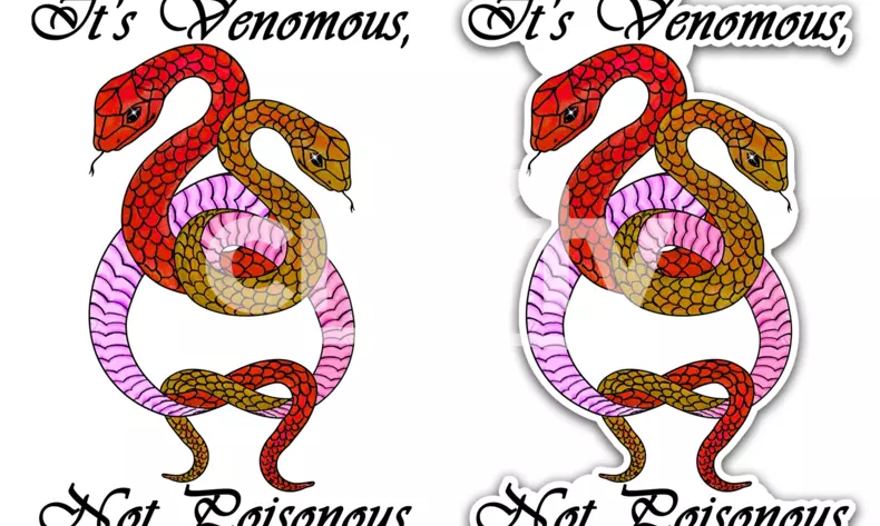 Venomous Snakes Sublimation | Snakes Sticker | Crafty