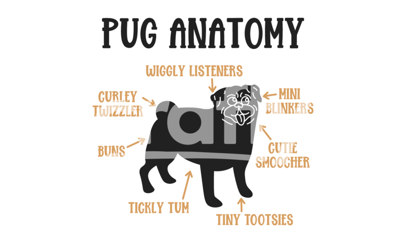 Pug Anatomy | Pug SVG | Crafty