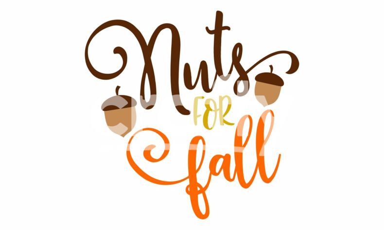 Nuts For Fall Design | Crafty