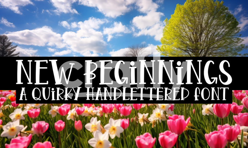 New Beginnings - A Quirky Handlettered Font | Crafty