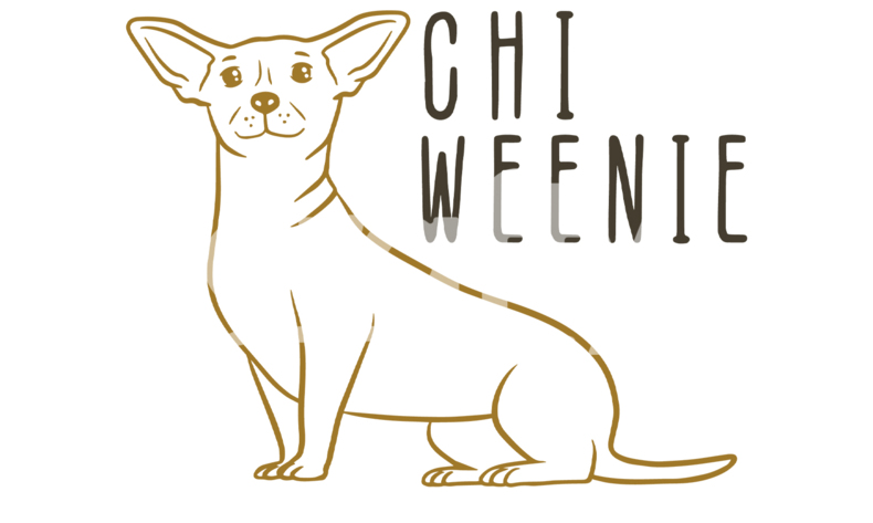 Chiweenie | Mixed Dog Breed SVG | Crafty