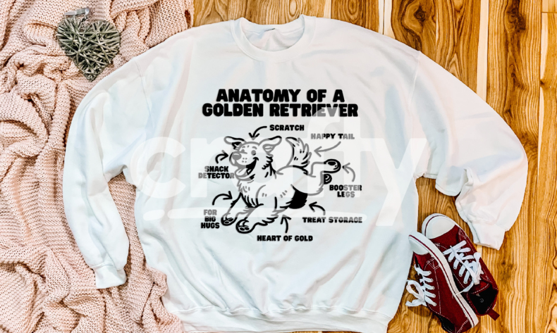 Anatomy Of A Golden Retriever | Golden Retriever SVG | Crafty