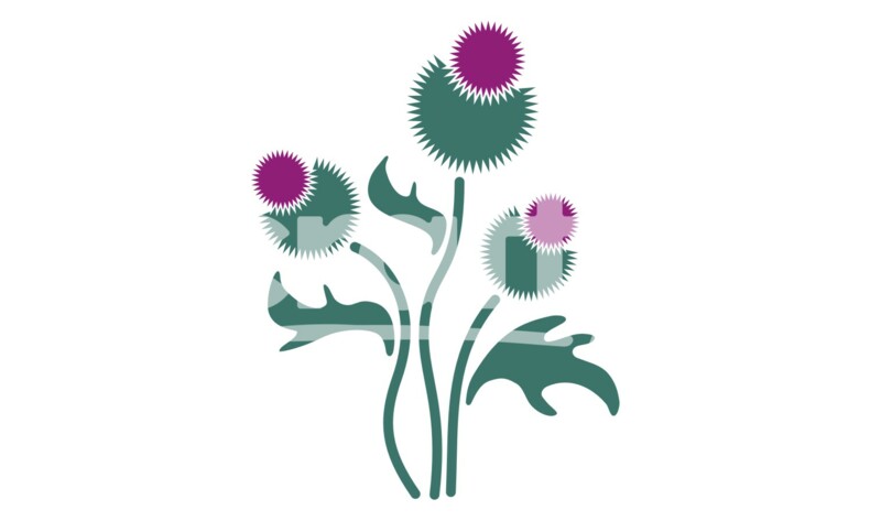 Thistle SVG | Wild Flower SVG Cutting File | Crafty